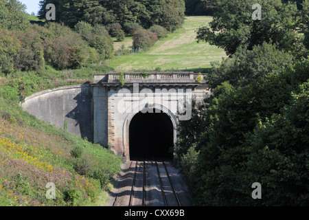 The western portal of Box Tunnel Stock Photo - Alamy