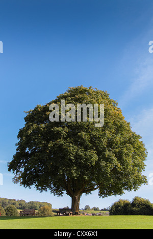 Recreation grounds Box Village, Corsham, Wiltshire Stock Photo - Alamy