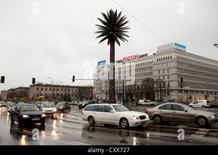 fake palm tree Warsaw Poland Stock Photo - Alamy