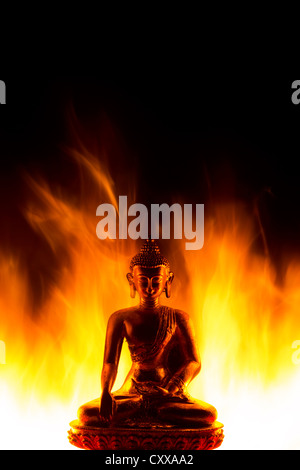 Buddha statue in front of fire with reflection against a dark ...