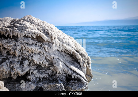 Crystalic salt on the beach of the Dead Sea Stock Photo - Alamy