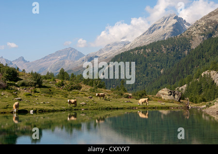Loetschental valley and Grundsee, Switzerland, Valais Stock Photo - Alamy