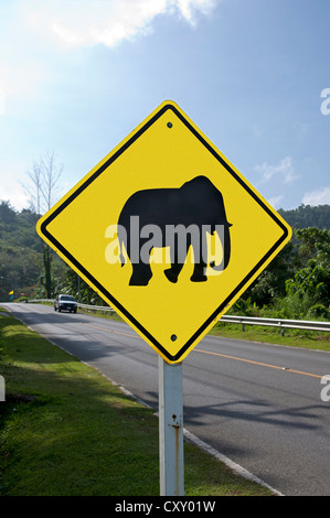 Road sign board warning for elephants, Sri Lanka Stock Photo - Alamy