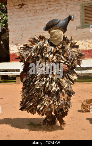 Traditional dance at the palace of Bafut, one of the traditional ...
