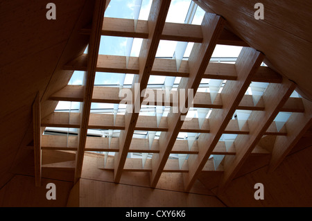 The Hive ceiling detail, Worcester, UK Stock Photo - Alamy