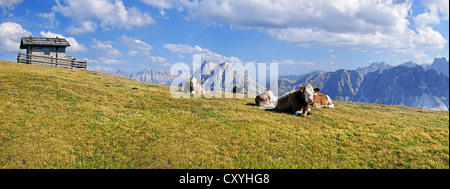 mountain range of geisler group during winter Stock Photo - Alamy