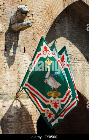 Siena, flags of the districts Stock Photo - Alamy