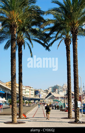 Waterfront, Ancient Port, Porto Antico, Genova (Genoa), Liguria, Italy ...