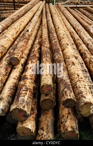 Norway Saw mill Timber Wood wood sawyer lumber lumberjack Norway ...