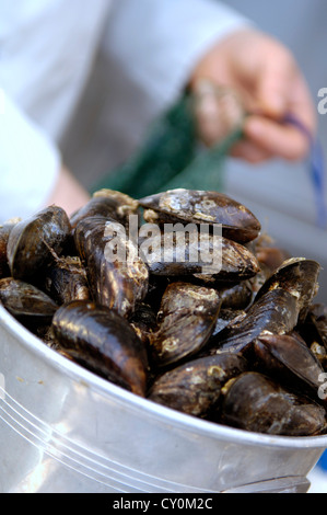 professional cook in kitchen preparing food for customers showing hands ...
