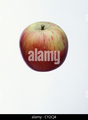 Fiesta UK apple Stock Photo - Alamy