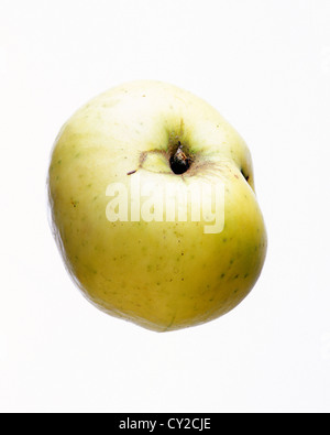 APPLE GOLDEN NOBLE Stock Photo - Alamy