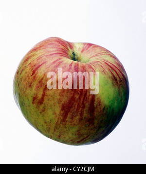 Howgate Wonder UK apple Stock Photo - Alamy