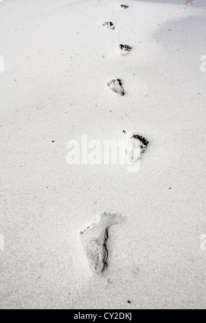 Footsteps in the sand on a Cape Town beach at sunset Stock Photo - Alamy