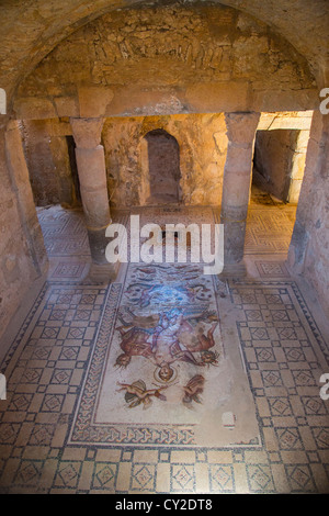 Mosaic at Bulla Regia Roman ruins, Tunisia Stock Photo - Alamy