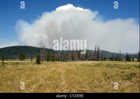 The Halstead Fire near Stanley, Idaho, four days after the lightening ...