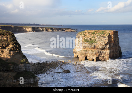 Marsden Rock, a limestone sea stack, in Marsden Bay near South Shields ...