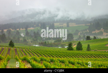 winery in anderson valley northern california Stock Photo - Alamy