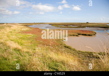 Saltings salt marsh environment River Ore, Hollesley, Suffolk, England ...