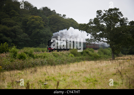 The Royal Duchy Steaming Through Brown Queen, Respryn Stock Photo - Alamy