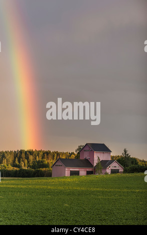 Rainbow disappearing behind a tree Stock Photo - Alamy