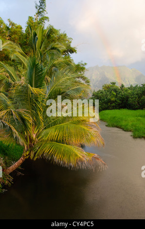 Palm landscape on a river in Asia Stock Photo - Alamy