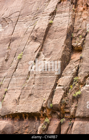 Rock structure along canyon at Zion National Park Stock Photo - Alamy