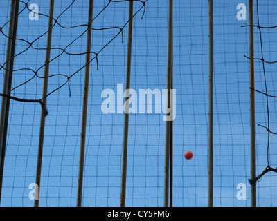 ball stuck on top of net roof in play ground Stock Photo - Alamy