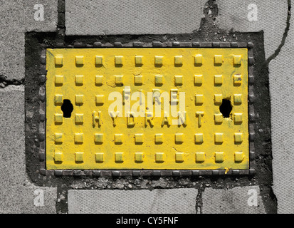 Metal water hydrant cover Stock Photo - Alamy