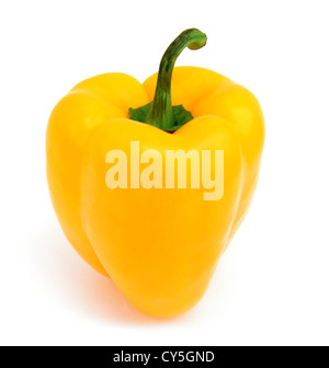 Pepper capsicum long sweet yellow (Biber carliston) at Kodaikanal in ...