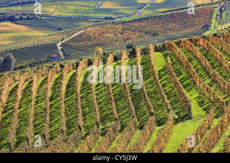 Beautiful colorful autumn landscape of the hills with trees, rocks and ...