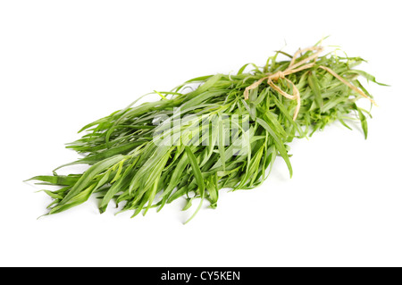 Tarragon bunch isolated on white background Stock Photo - Alamy