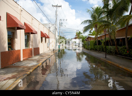 streets flooded by heavy rainfall key west florida usa Stock Photo - Alamy
