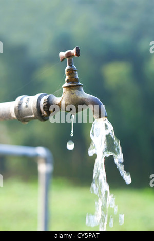 Spigot with trickle of water Stock Photo: 51061457 - Alamy