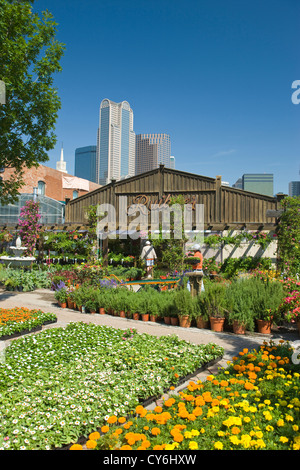 FLOWERS TRAYS FARMERS MARKET DOWNTOWN DALLAS TEXAS USA Stock Photo - Alamy