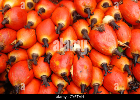 Palm oil seeds at a plantation in Borneo Stock Photo - Alamy