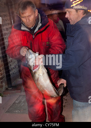 After a day of fishing near Shoreham Harbour, an angling club weighs ...
