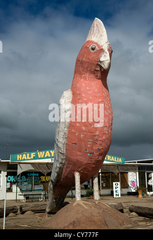 Kimba South Australia big Galah Stock Photo - Alamy