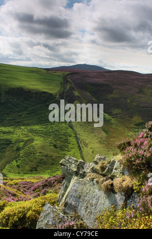 View to Moel Famau from Moel Arthur, North Wales UK Stock Photo - Alamy