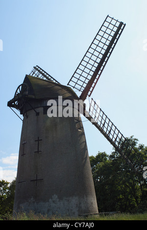 Birkenhead, Wirral, UK: Bidston Hill, a public open space of woods ...
