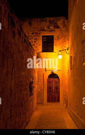 Mdina Malta at night Stock Photo - Alamy