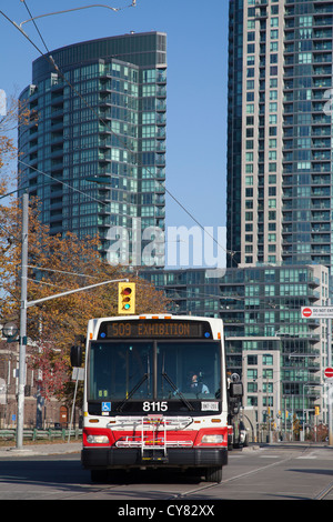 City bus of Toronto Transit Commission. Toronto, Canada Stock Photo - Alamy