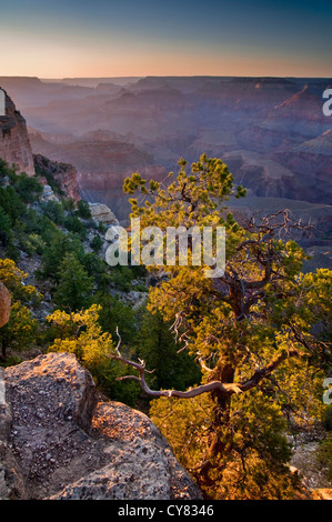 beautiful sunset at yavapai point at the grand canyon, arizona, usa ...
