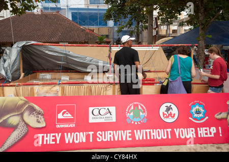The Bali Sea Turtle Society (BSTS) releases Olive ridley hatchlings on ...