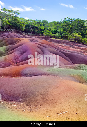 Orange-red color of the lava soil, covering a knoll hill and a half of ...
