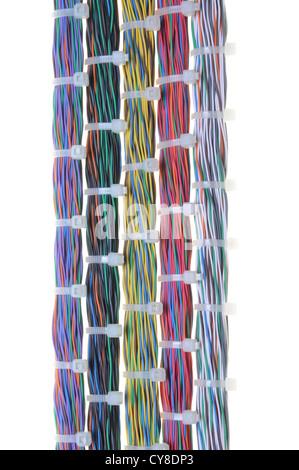 Bundles of network cables with cable ties Stock Photo - Alamy