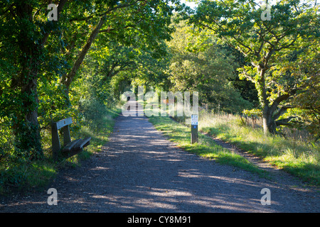 Hayling Billy Trail; Hayling Island; UK; former railway line Stock ...