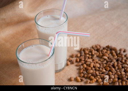 Horchata, typical Spanish drink made of tiger nuts. Valencia, Spain ...