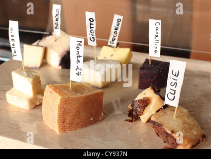 Different types of Italian cheeses: scamorza, provolone and ...