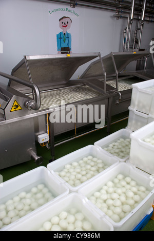 Mozzarella Production at Laverstoke Farm Stock Photo - Alamy